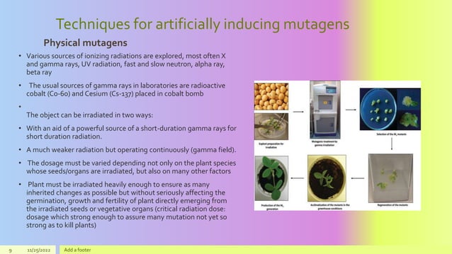 Mutation breeding.pptx
