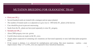 Mutation breeding; TYPES, ADVANTAGES, DISADVANTAGES etc. | PPTX