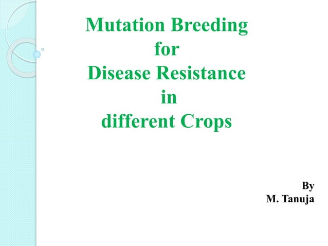 Mutation breeding for disease resistance | PPT