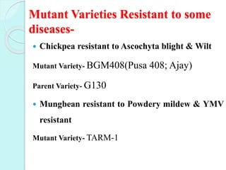 Mutation breeding for disease resistance | PPT