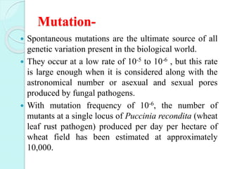 Mutation breeding for disease resistance | PPT