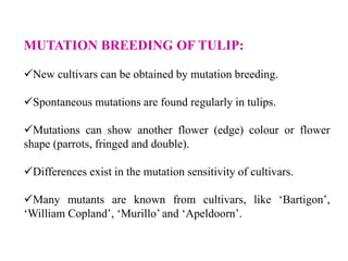 Mutation breeding in flower crops | PPTX