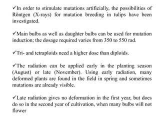Mutation breeding in flower crops | PPTX