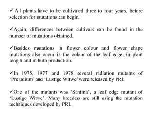Mutation breeding in flower crops | PPTX