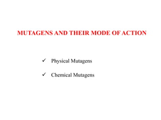Mutation breeding in flower crops | PPTX