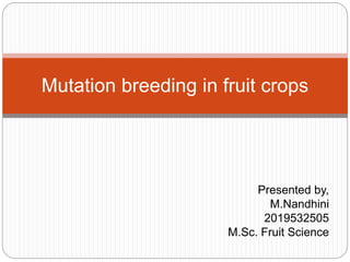 Mutation breeding in fruit crops | PPTX