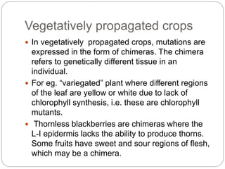 Mutation breeding in fruit crops | PPTX
