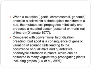 Mutation breeding in fruit crops | PPTX