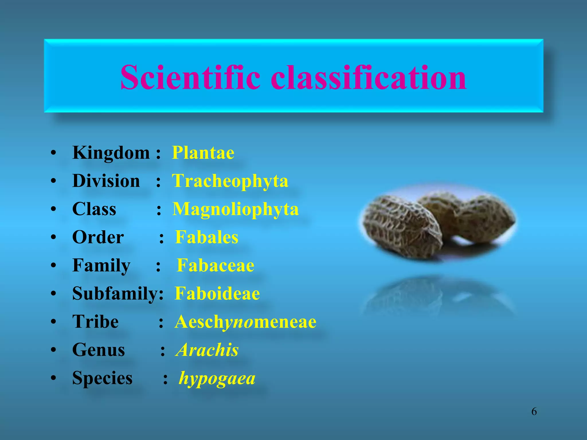 Mutation breeding in groundnut | PPTX