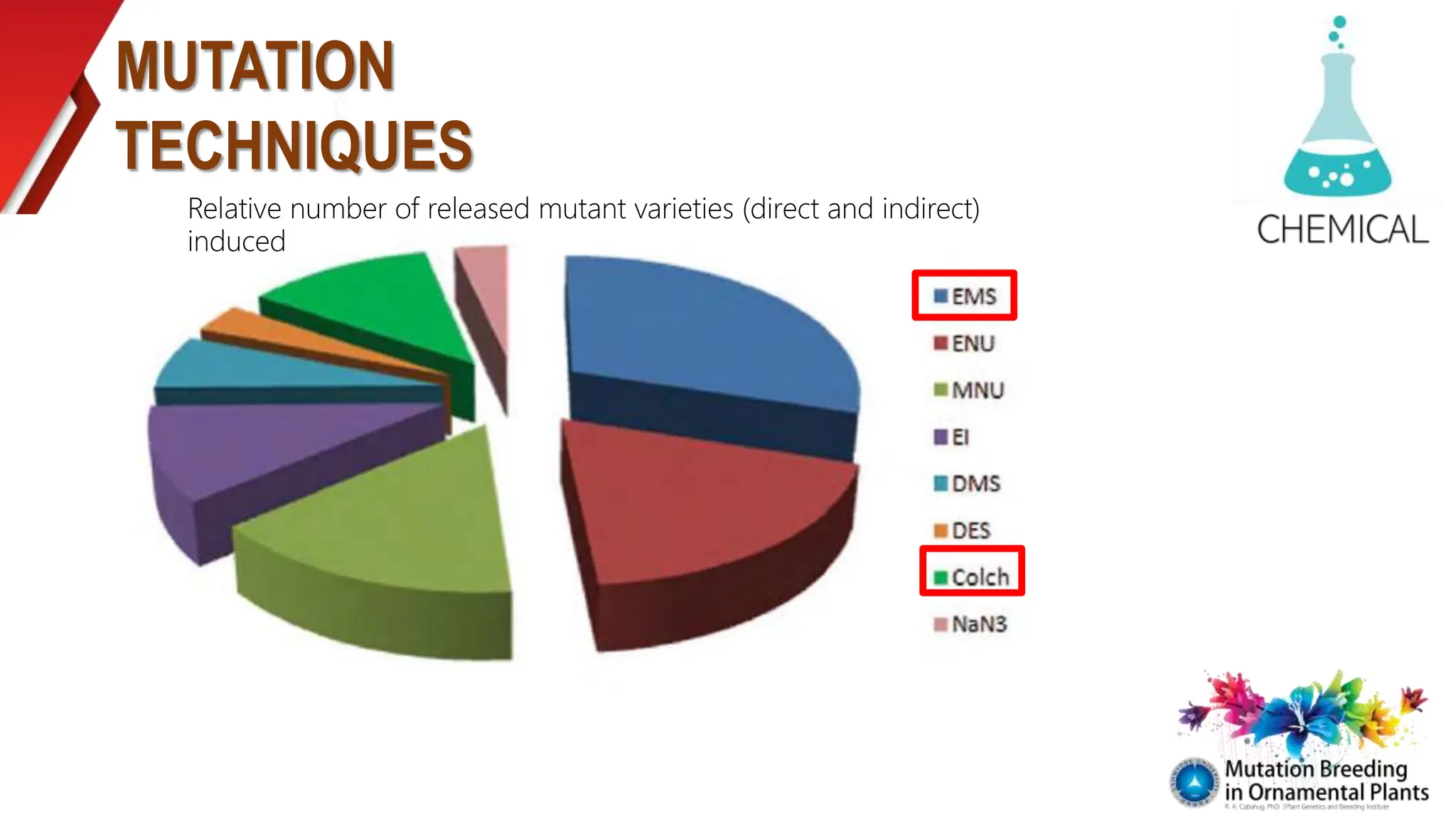 Mutation Breeding in Ornamental Crops.pptx
