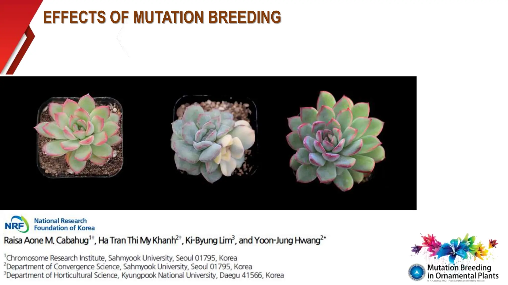 Mutation Breeding in Ornamental Crops.pptx