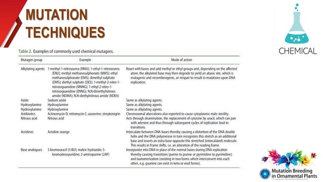 Mutation Breeding in Ornamental Crops.pptx | Gardening | Home & Garden