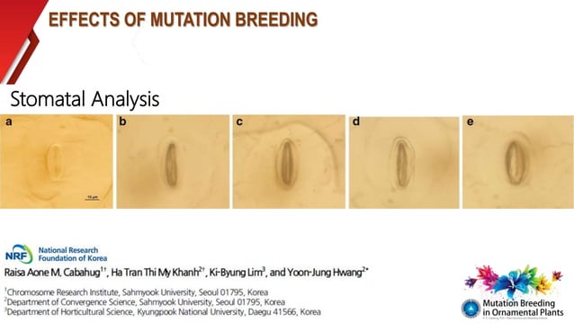 Mutation Breeding in Ornamental Crops.pptx | Gardening | Home & Garden