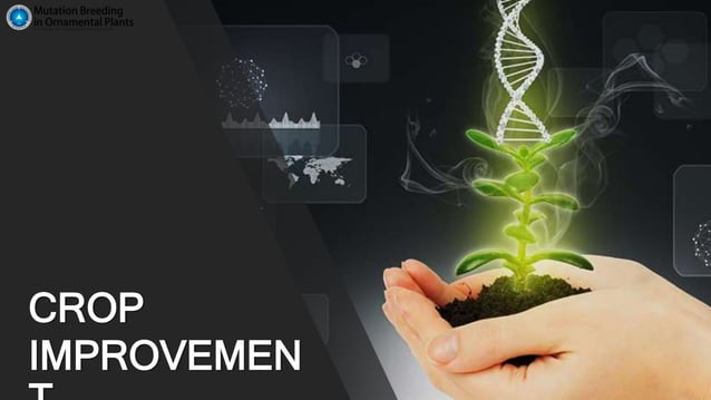 Mutation Breeding in Ornamental Crops.pptx | Gardening | Home & Garden