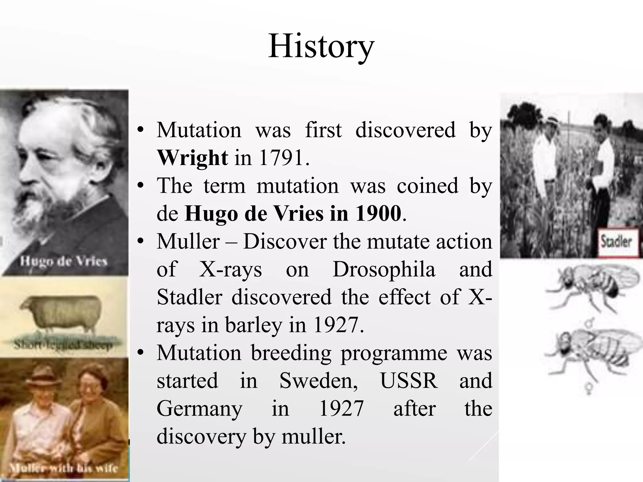 Mutation breeding | PPT