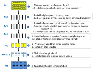 Mutation breeding ppt | PPTX