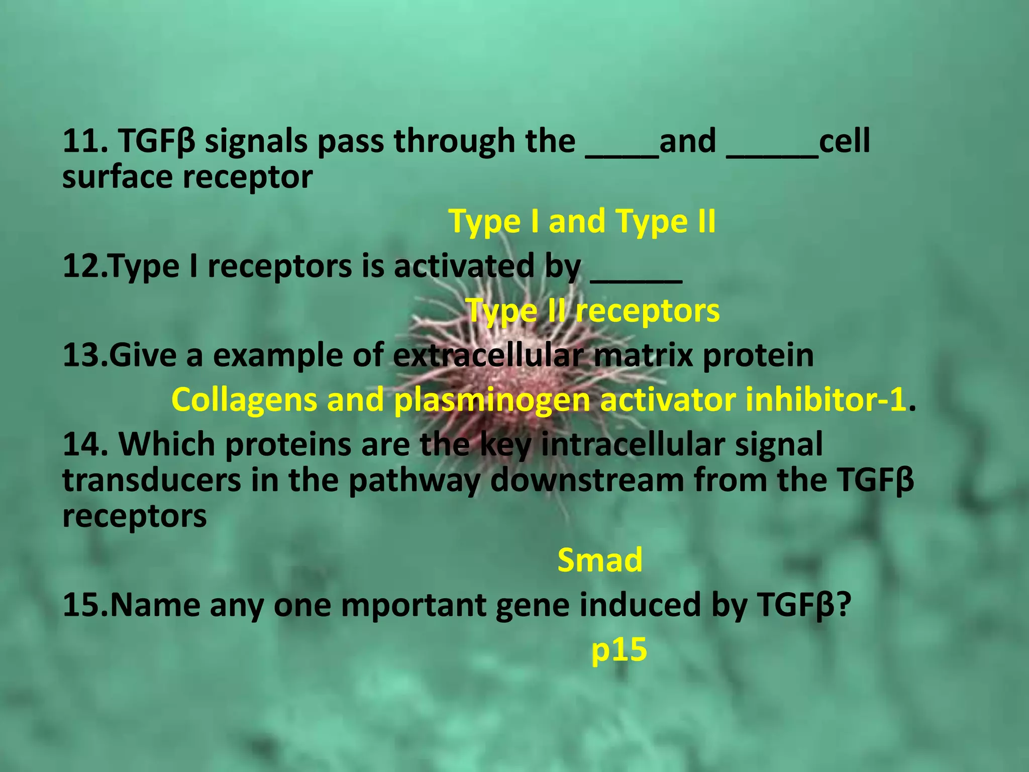 Mutation causing loss of cell cycle | PPTX