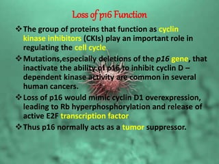 Mutation causing loss of cell cycle | PPTX