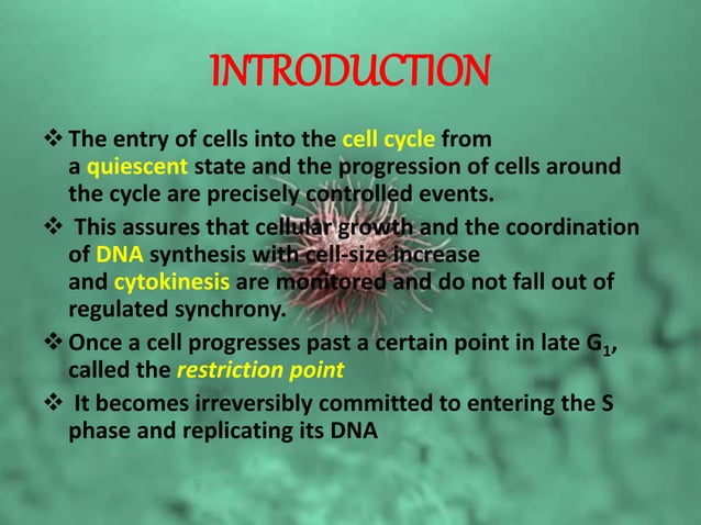 Mutation causing loss of cell cycle | PPT