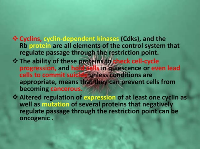 Mutation causing loss of cell cycle | PPT