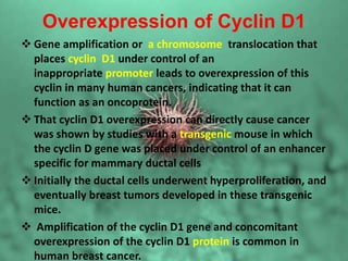Mutation causing loss of cell cycle | PPTX