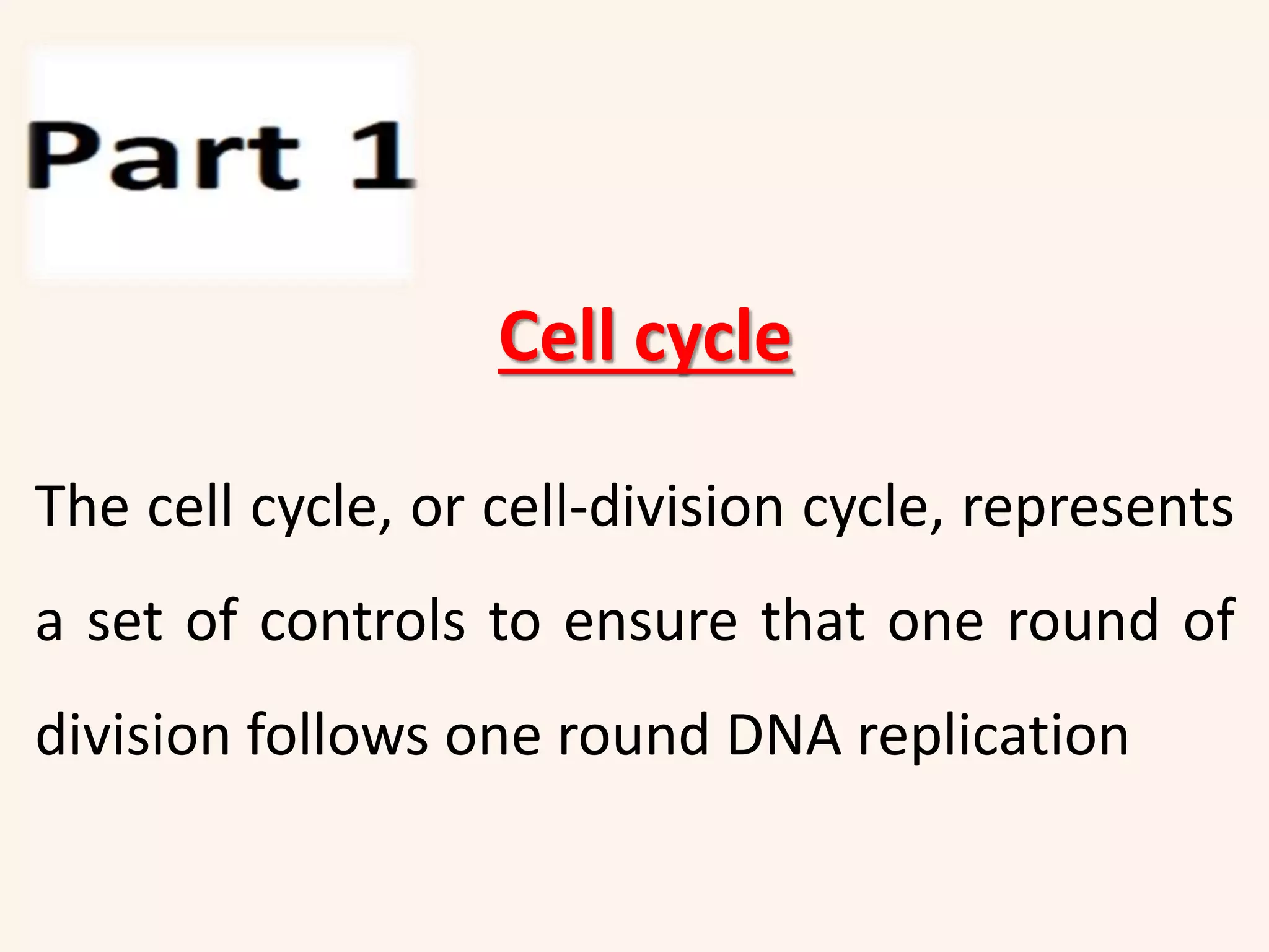 check point in cell cycle and the Mutation | PPT | Free Download