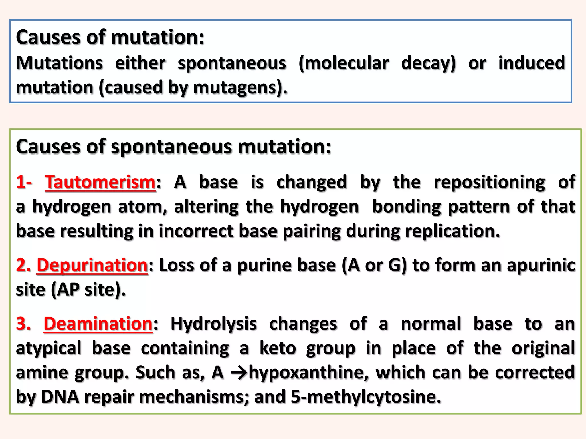 check point in cell cycle and the Mutation | PPT | Free Download
