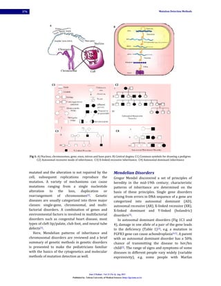 Mutation detection | PDF