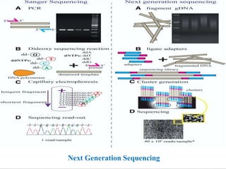 Mutation detection methods in genetic disorders | PPTX