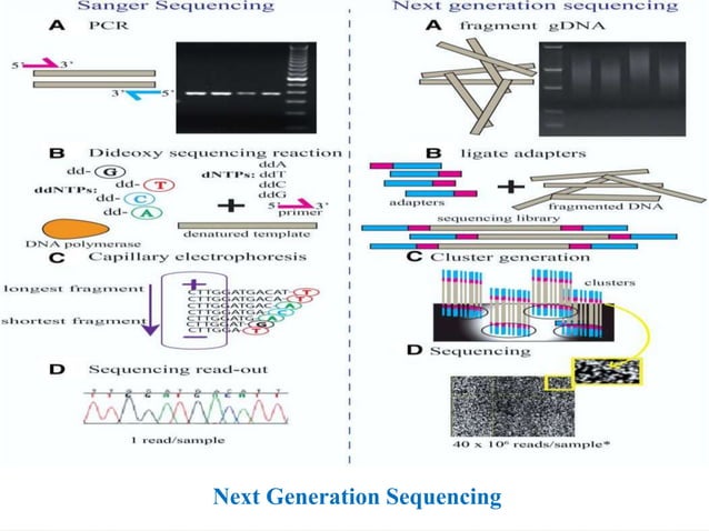Mutation detection methods in genetic disorders