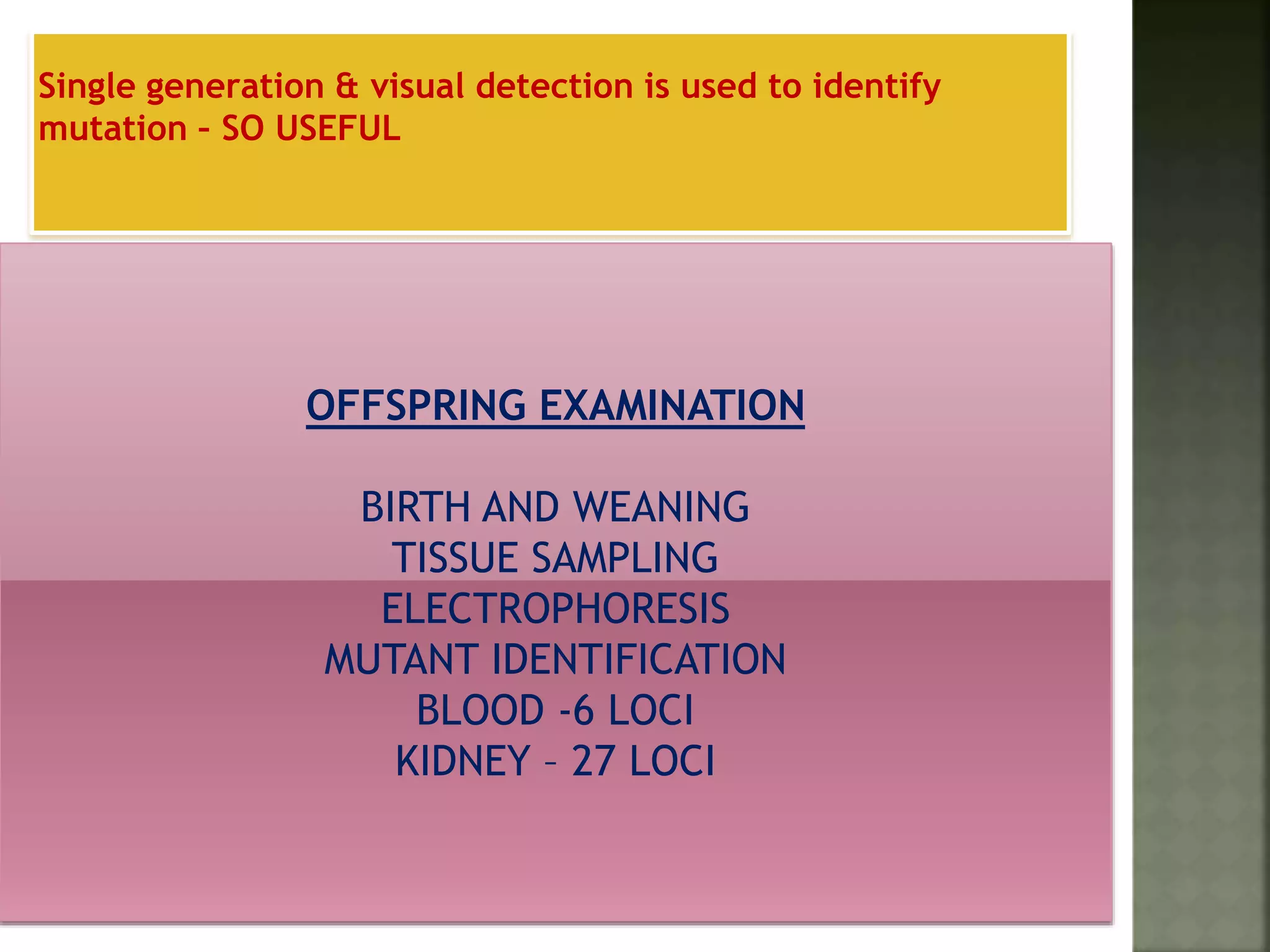 Mutation Detection Systems Navi Ppt