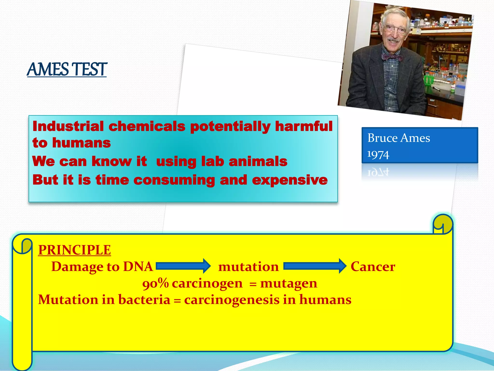 Mutation Detection Systems Navi Ppt
