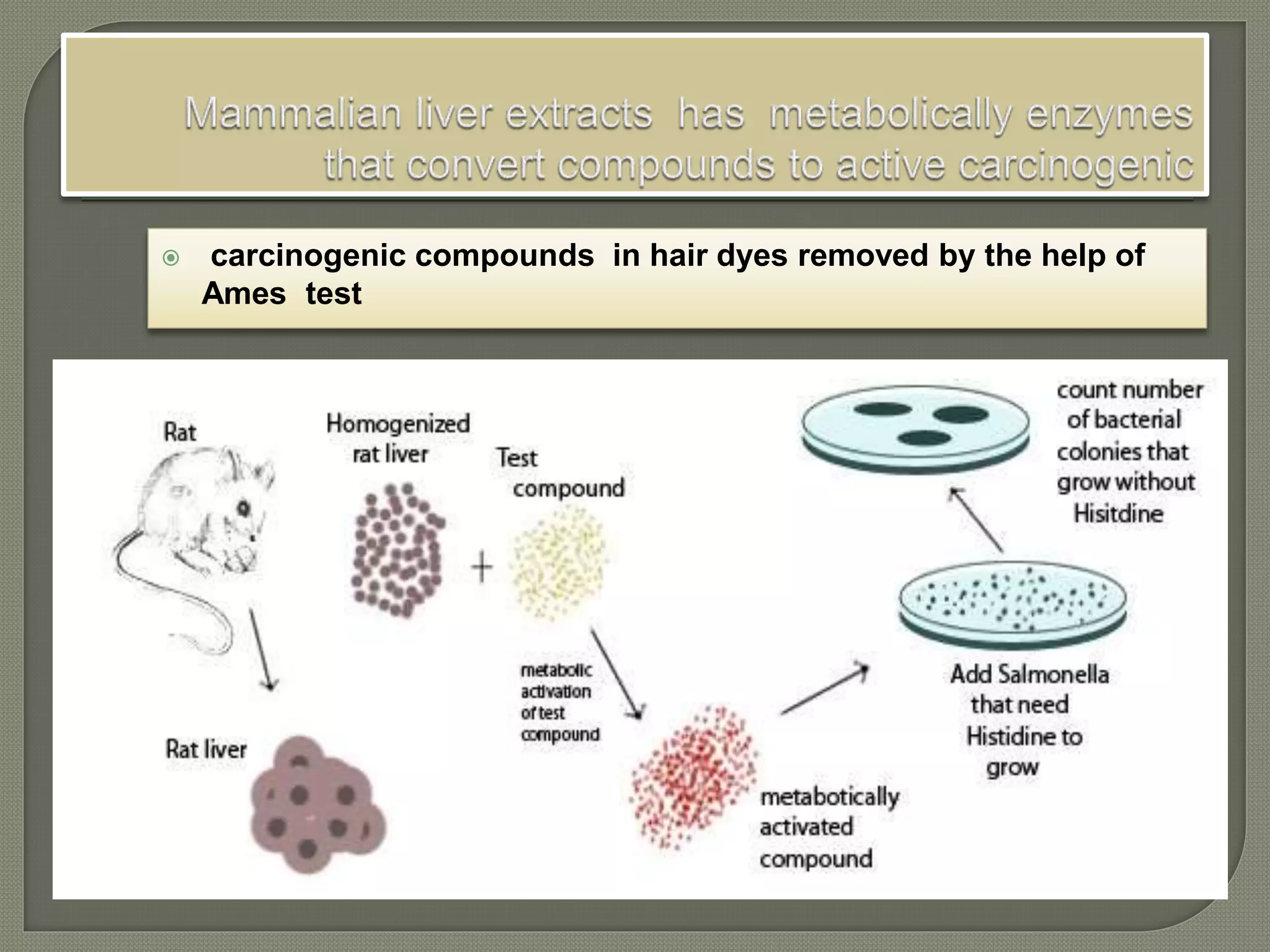 Mutation Detection Systems Navi Ppt