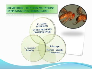 Mutation detection systems navi | PPT