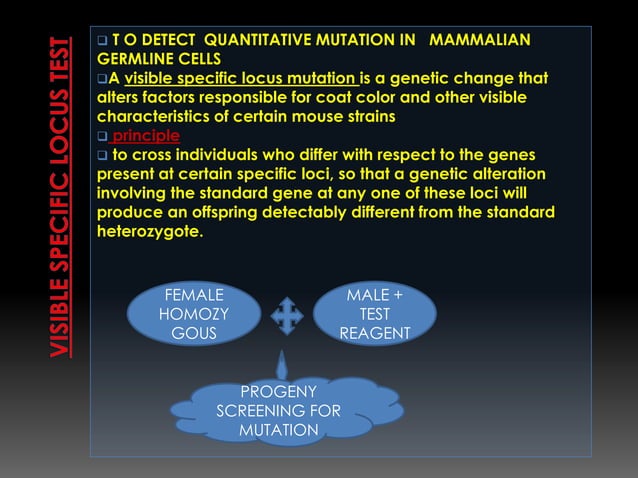 Mutation detection systems navi | PPT