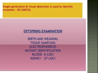 Mutation detection systems navi | PPT