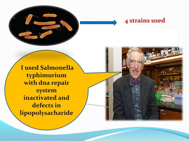 Mutation detection systems navi | PPT