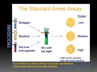 Mutation detection systems navi | PPT