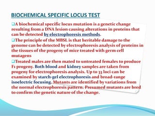 Mutation detection systems navi | PPT