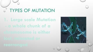 Mutation, DNA Repair and Recombination.pptx