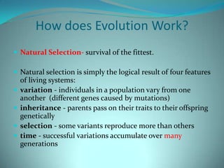 Mutation, Evolution, and Natural Selection | PPTX