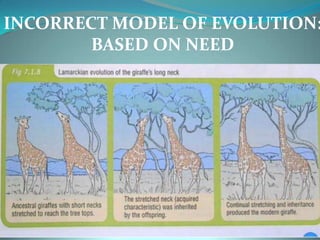 Mutation, evolution, and natural selection cook | PPTX