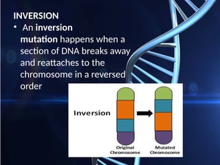 MUTATION, Genetic Disorders, Human Karyotyping, and Genetic Engineering ...