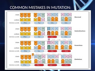 MUTATION, Genetic Disorders, Human Karyotyping, and Genetic Engineering ...