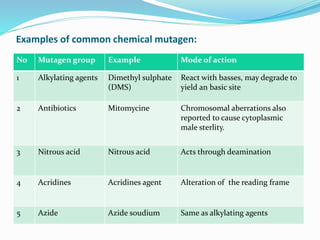 Mutation of plant breeding | PPTX
