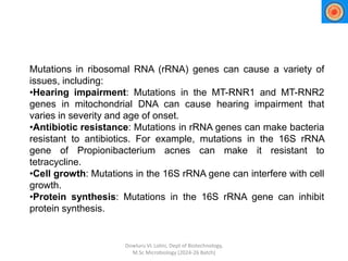 "Genetic Mutations in tRNA and rRNA: Unveiling Cellular Secrets | PDF