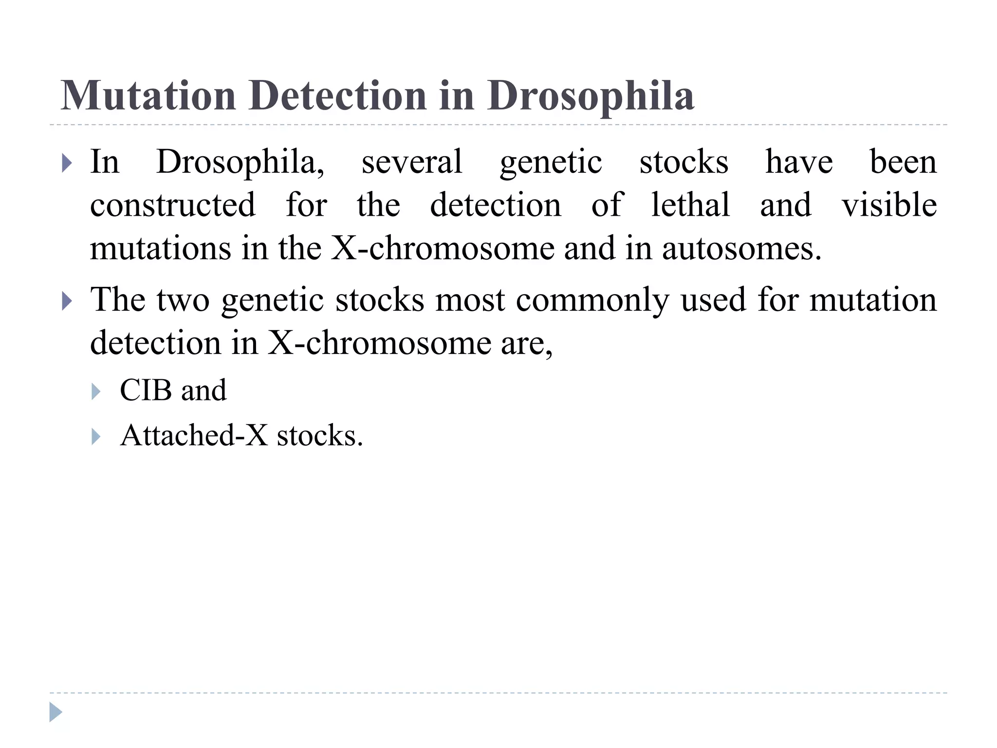 Mutation And Its Detection Pptx
