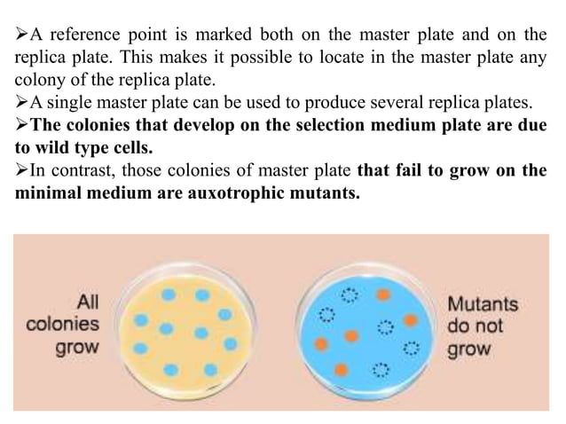 Mutation & its detection | PPTX