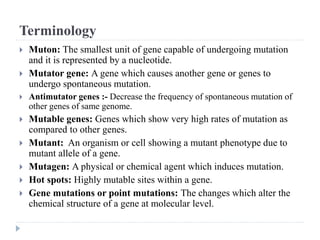 Mutation & its detection | PPTX
