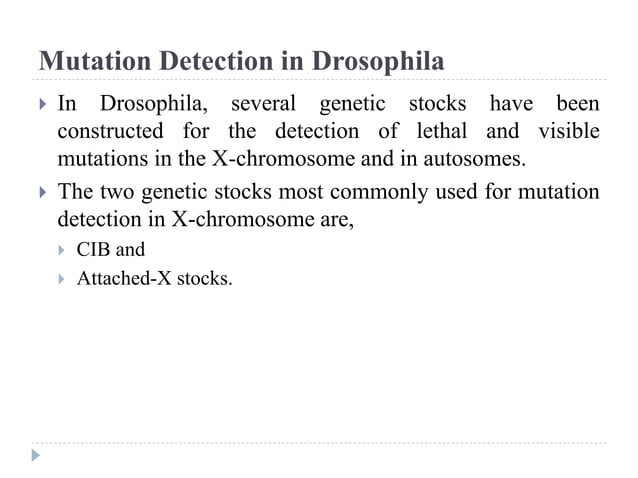 Mutation & its detection | PPTX